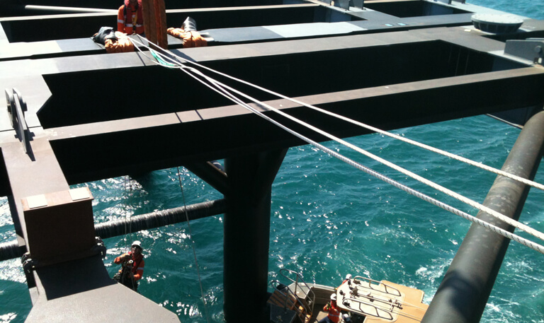 Project Spotlight: Gorgon LNG Construction Project | APS Industrial